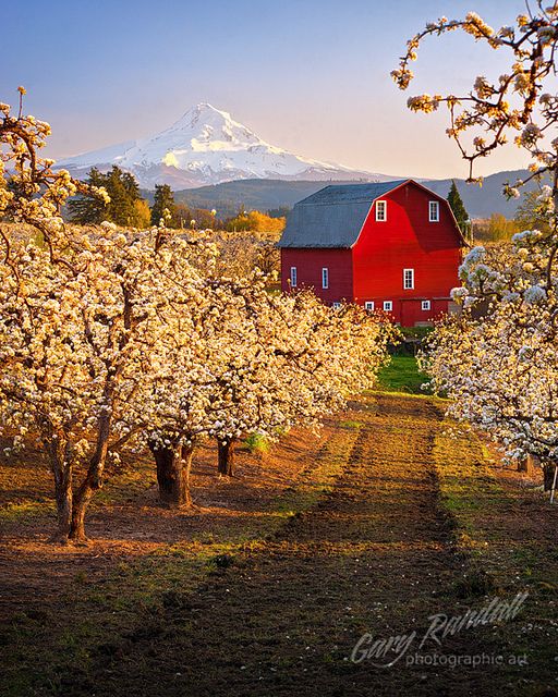 TASTE AND SEE THAT HASHEM IS GOOD! – TORAH AND TEMPLE INVESTIGATIONS